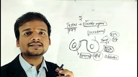 Alp Science Testes वृषण बाहर क्यू होते Male Sex Organ Railway Science Rrbalpscience Science