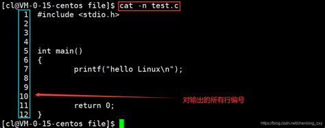 Linux常见指令汇总(入门必备)date S 接收管道 Csdn博客 Linux常见指令汇总(入门必备)date S 接收管道 Csdn博客