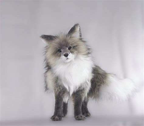 Silver Fox Cub By Ekaterina Antonova Tedsby