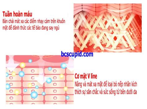 Máy Massage Ngực Nhỏ Gọn Sạc Pin