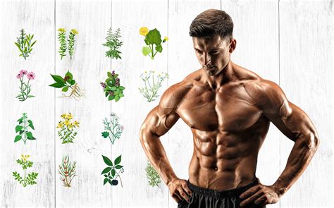 Boost Your Testosterone Naturally 20 Powerful Herbs For Maximum