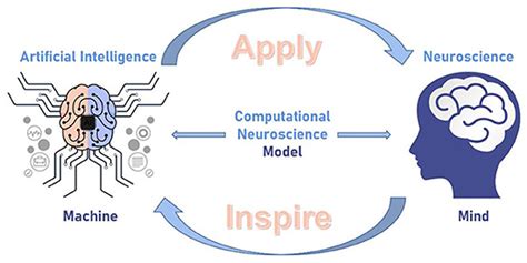 Frontiers Editorial Closed Loop Iterations Between Neuroscience And