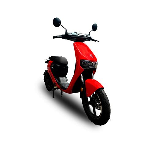 Portfolio Bee Green Bikes