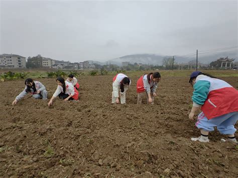 温度新闻：科技富农添 金”光！温医大师生助力 温郁金”现代化发展地市级 温州医科大学新闻中心
