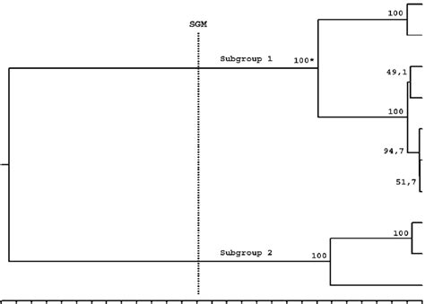 A Upgma Dendrogram Of Genetic Similarity Of The Ten Plectranthus Spp Download Scientific