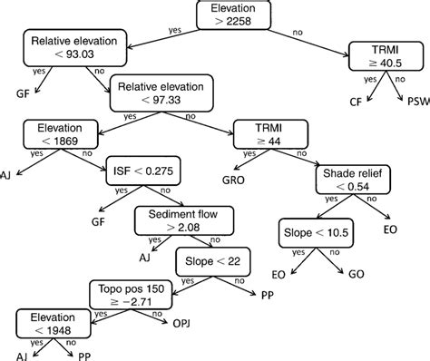Decision Tree Rules For The Vegetation Environment Relationships In The