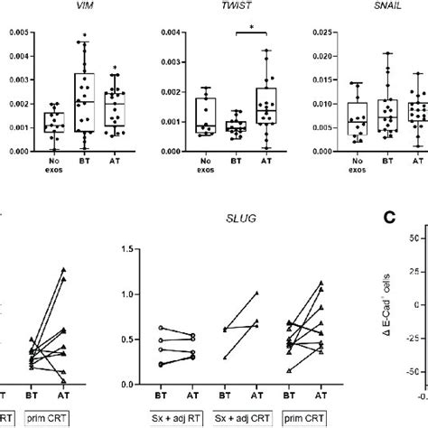 Mrna Expression Of Emt Markers And Transcription Factors Of Ud 1 Cells Download Scientific
