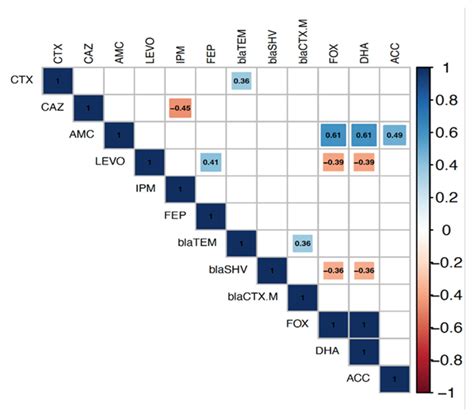 Prevalence And Molecular Characterization Of Extended Spectrum β Lactamases And Ampc β Lactamase