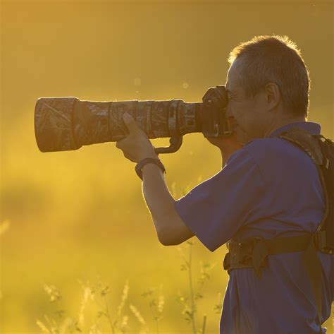 Jian Xu This Beautiful Nashville Warbler Was Facebook