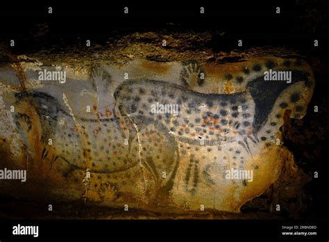 France Lot 46 Cabrerets Grotte Du Pech Merle Center Of Prehistory