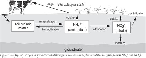 Figure 1 From The Pre Sidedress Soil Nitrate Test Psnt For Western