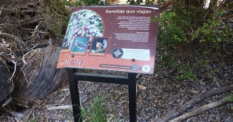 Bosque De Arrayanes Embarcadero Ask Ai Mindtrip