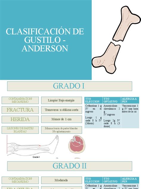 Clasificación De Gustilo Anderson Pdf Tratamientos Médicos Antibióticos