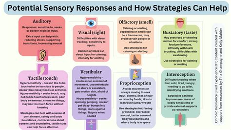 Sensory Processing Systems And Patterns — Chronic Resilience