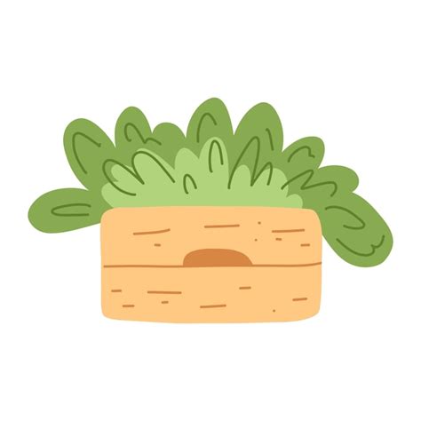 만화 손으로 그린 플랫 스타일 상자에 식물의 벡터 일러스트 레이 션에 허브와 함께 나무 상자 프리미엄 벡터