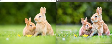 Gstreamer Python接口opencv Python Opencv3mob64ca13ff9303的技术博客51cto博客