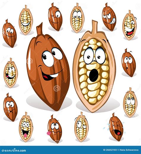 Cocoa Bean Cartoon Stock Vector Illustration Of Leaf 26652103