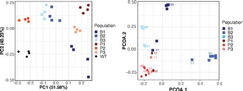 Figure 1 From Polygenic Adaptation And Clonal Interference Enable Sustained Diversity In