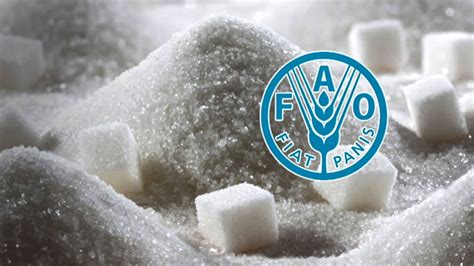 국제 설탕 가격 12년 만에 최고공급 부족 우려 국제 설탕 가격 12년 만에 최고공급 부족 우려