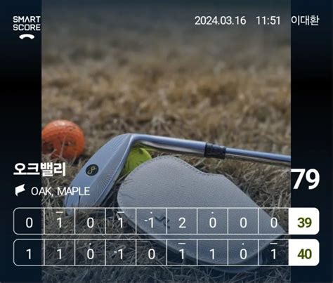 코리폴 아이언 피팅 교체 후 첫 라운딩 오크밸리cc 버디2개 네이버 블로그