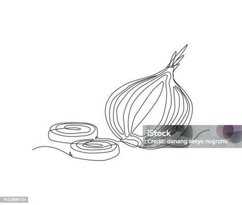 신선한 유기농 양파의 연속 한 줄 그리기 농장 사업 개념을위한 양파 라인 아트 드로잉 개념에 대한 스톡 벡터 아트 및 기타