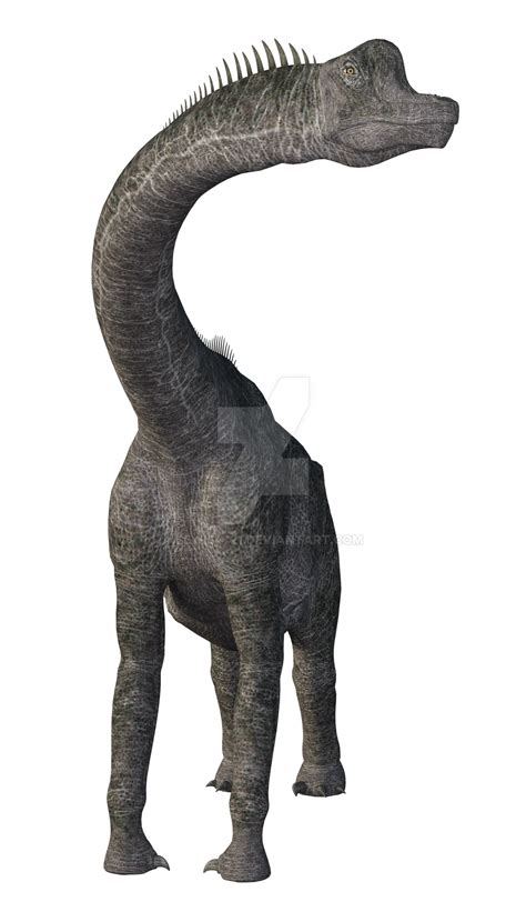 Brachiosaurus Dinosaur Png Overlay By Lewis4721 On Deviantart