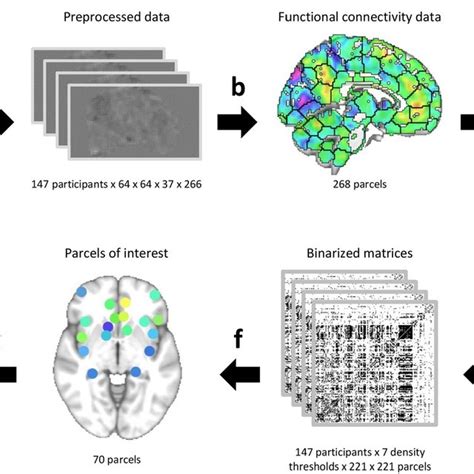 Resting State Functional Connectivity Analysis Pipeline Preprocessing Download Scientific