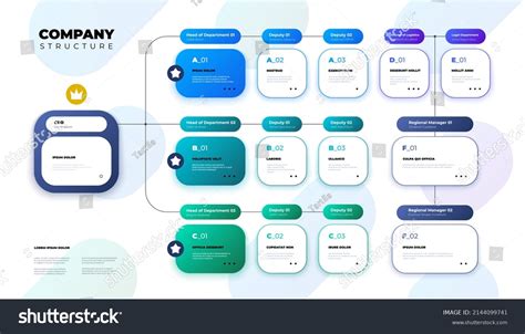 Company Structure Business Organization Scheme Infographic Stock Vector Royalty Free