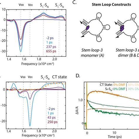 Signatures Of Symmetry Breaking Charge Transfer State Formation