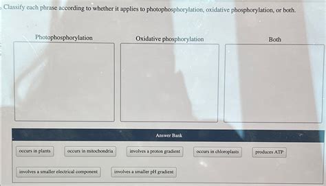 Solved Classify Each Phrase According To Whether It Applies