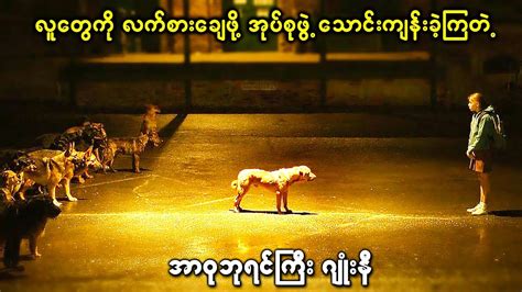 လူတွေကို လက်စားချေဖို့ အုပ်စုဖွဲ့ သောင်းကျန်းခဲ့ကြတဲ့ အာဝုဘုရင်ကြီး ဂ