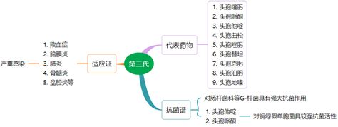 头孢西丁到底是第几代多图对比一文掌握头孢类药物 丁香园