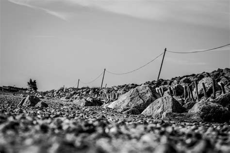 Shellness Beach Wild Selkie