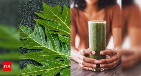 Papaya Leaf Juice Health Benefits How To Make And The Right Way To