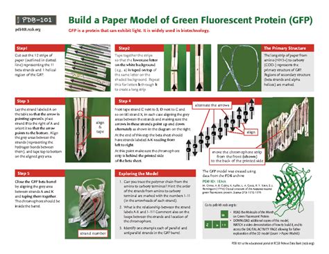 Gfp Model Construction Guide Understanding Protein Structure Pdb101