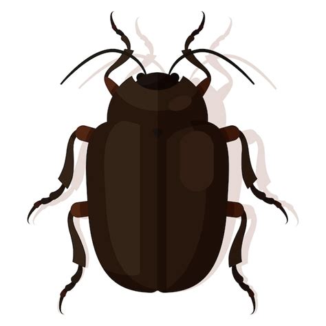 Premium Vector Colorful Bug Vector
