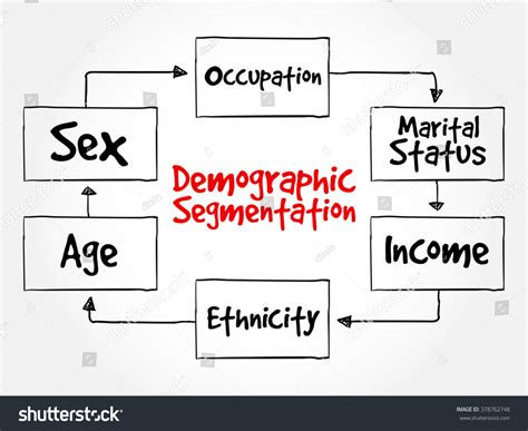Demographic Segmentation Mind Map Flowchart Social Stock Vector Royalty Free 378762748
