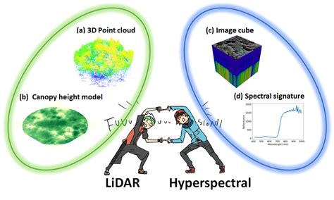9 Data Fusion Of Lidar And Hyperspectral Data A 3d Point Cloud From Download Scientific