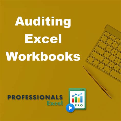 Auditing Excel Workbooks Professionals Excel