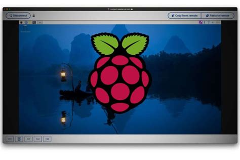 ¿cómo Saber Qué Modelo De Raspberry Pi Tienes Raspberrytips
