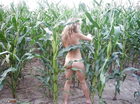 Corn Up My Vagina Porn Pictures Xxx Photos Sex Images 649905 Pictoa