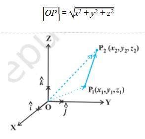 Magnitude Of A Vector Overview Questions Easy Tricks Rules Preparation