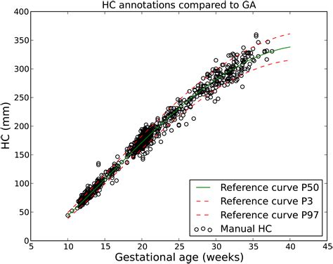 Fetal Head Ultrasound Dataset Ninja