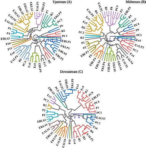 dendrograms produced by agglomerative hierarchical clustering for