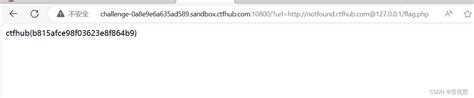 Ctfhub靶场————ssrf Csdn博客