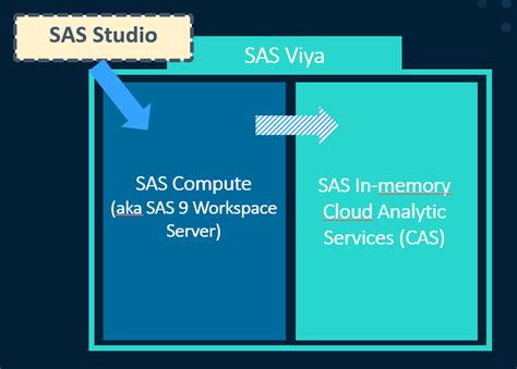 Juletip 17 Can I Code In Sas Visual Analytics Sas Support Communities