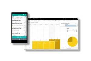 Microsoft Dynamics For Project Service Automation Altruas