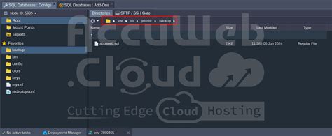 Database Configuration Files In Accuwebcloud Platform