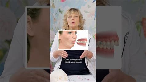 Прикус смотреть онлайн все 6 видео от Прикус в хорошем качестве на Rutube