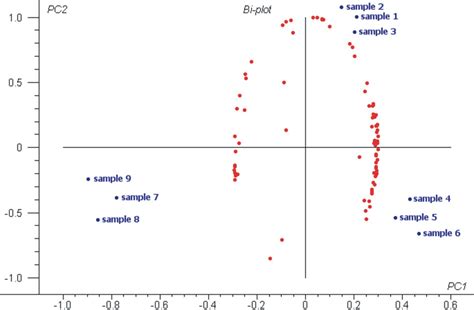 Illustration Of A Pca Bi Plot For Gene Expression Data Loadings Gene